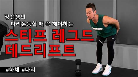 기초 다리운동다리운동할때 꼭 해야할 운동스티프 레그드 데드리프트 정선생 Youtube