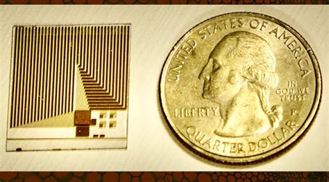 Biophotonics Techniques Laser Focus World