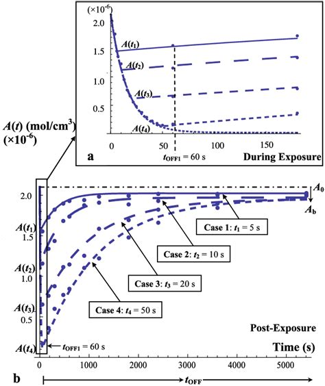 Combination Of A Fits To Experimental Data Of Mb Concentration During Download Scientific