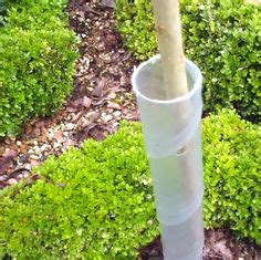Tree Gaurds Ideas Tree Tree Support Tree Grate