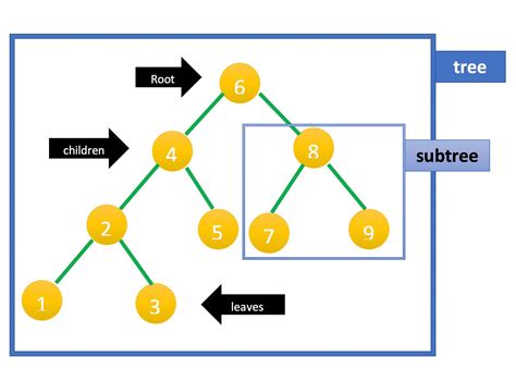 Depth First Search Breadth First Search And The Greedy Algorithm By