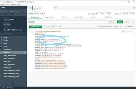 Connecting Strapi To Mongo Db Database Mongodb Strapi Community Forum