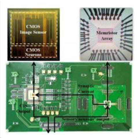 A Memristor Synapse Array Micrograph For Snn Application Chu Et Al