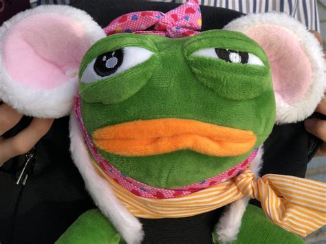 개구리 비웃는 개구리 유머 움짤 이슈 에펨코리아