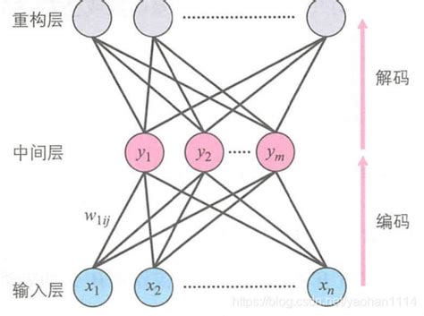自编码器及其几种变种 自编码器几种 csdn博客
