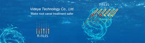 Videya Technology Co Ltd