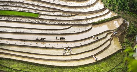 Farmerfarm Types Of Farming