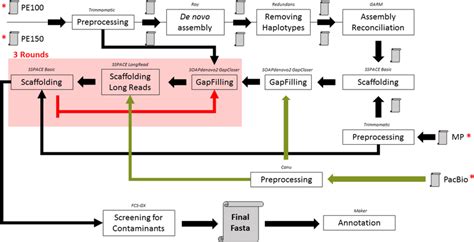 bioinformatics pipeline followed for cork oak genome assembly raw set