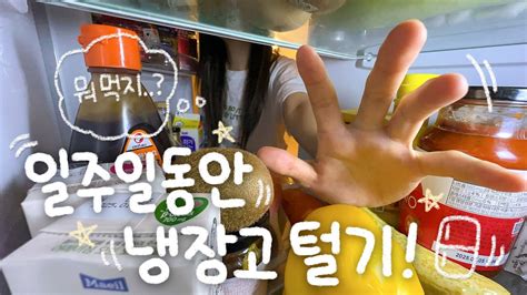 냉털 챌린지로 요리실력 Up 👩🏻‍🍳🍳알뜰하게 식재료 활용한 일주일 냉털 챌린지vlog🥘 Youtube