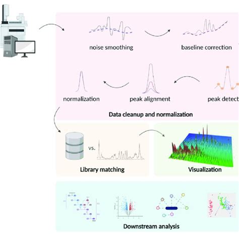 typical steps in the processing of gc ms metabolomics data noise