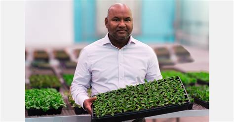 oasis grower solutions introduces precision propagation media
