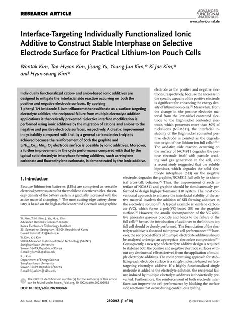 Interface‐targeting Individually Functionalized Ionic Additive To