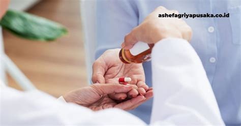 Codikaf Manfaat Dan Efek Samping Ashefa Griya Pusaka
