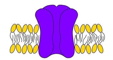 Ion Channel Definition Neuroscientifically Challenged