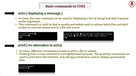 Basic Commands In Linux Unix Linux Commands Unix Commands