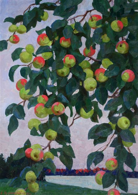 Ветка яблони