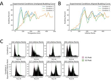Alignment Of Synchronized Time Series Data Using The Characterizing Loss Of Cell Cycle Synchrony