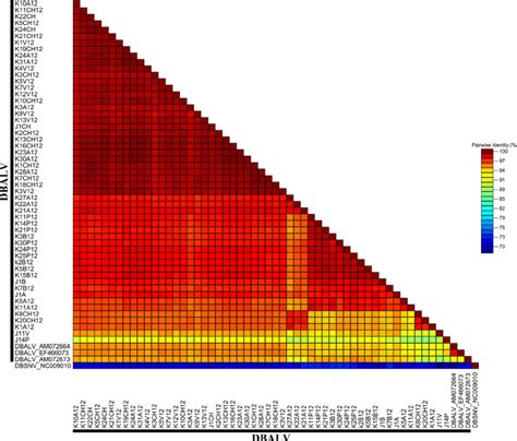 two dimensional graphic representing the percentage of pairwise