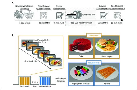 Outline Of The Experimental Procedure And Cue Reactivity Paradigm