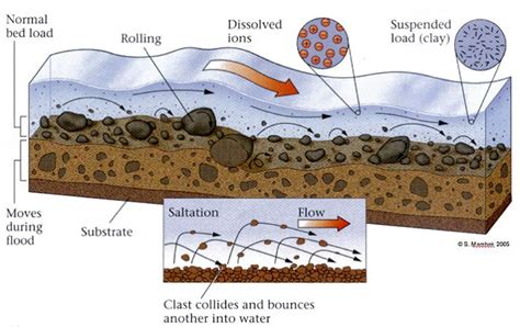 Pin On Sediment