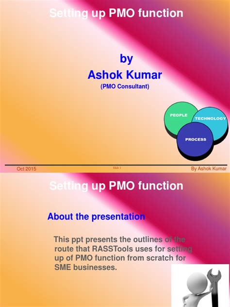 Setting Up Pmo Function By Ashok Kumar Pdf Project Management