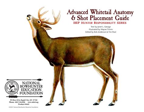 National Deer Association Supports The National Bowhunter Education