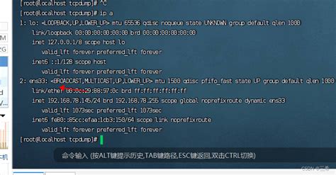 Centos7系统离线安装tcpdump抓包软件、使用教程tcpdump离线安装包 Csdn博客