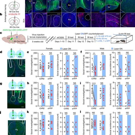 Chemogenetic Manipulations Of NTLS Neurons Alter Social Behaviour Download Scientific Diagram
