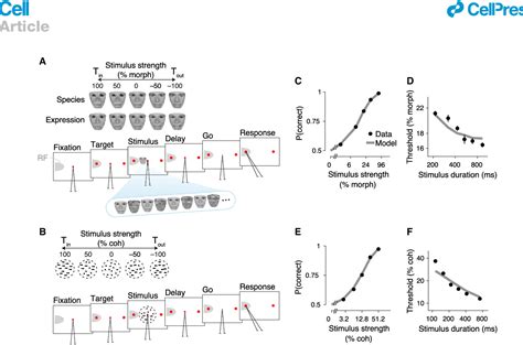 Figure 1 From Representational Geometry Of Perceptual Decisions In The