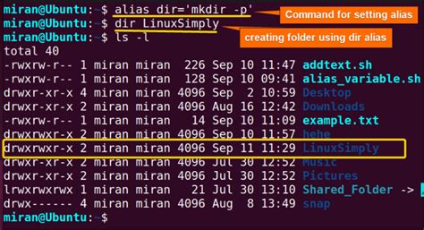 How To Use Alias With Parameters In Bash Scripting 6 Examples LinuxSimply