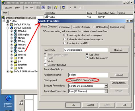 the scripts folder