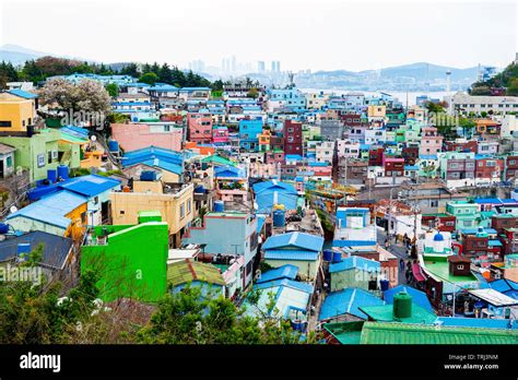 Scenic Landscape Of Gamcheon Culture Village Colorful And Artistic