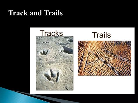 Sedimentary Structures And Mineralogy Pptx Geology Science