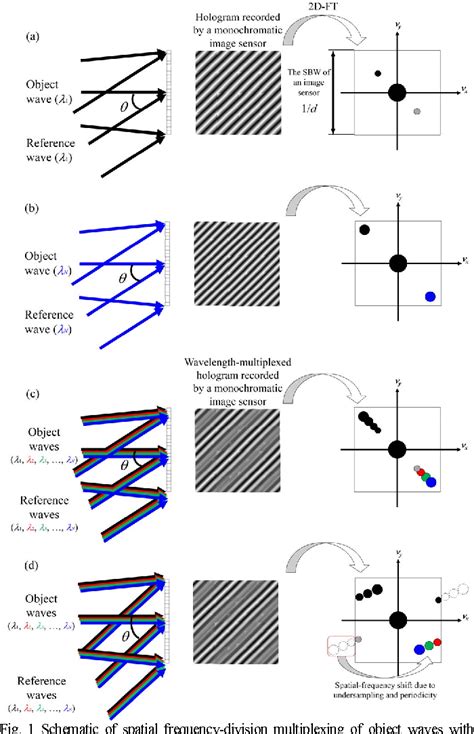 Figure 1 From Single Shot Multispectral Digital Holographic Microscopy Semantic Scholar