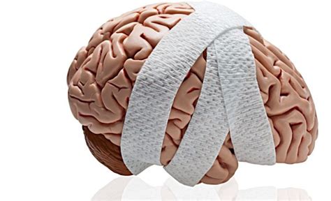 انواع رشته‌های عصبی دکتر مجازی