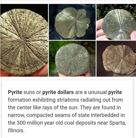 Pin By Julie Fenn On Geology Fossils Minerals Etc Pyrite Unusual