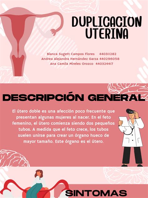 Duplicacion Uterina Pdf El Embarazo Parto