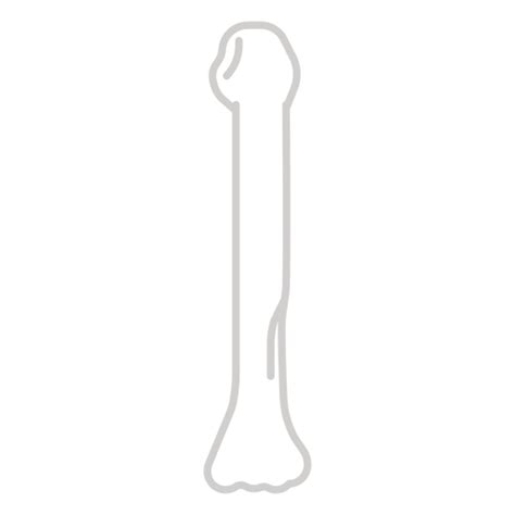 Minimalist Bone Shape Design Png And Svg Design For T Shirts