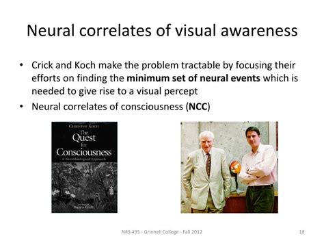 Ppt The Neural Correlates Of Consciousness Powerpoint Presentation Free Download Id1908280