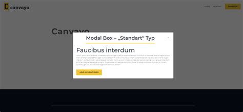 Pop Up Modal Box › Canvayo Support