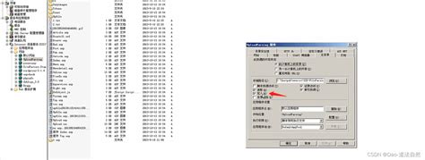 day41：web攻防 asp应用and sysand短文件and文件解析andaccess注入and数据库泄漏 csdn博客
