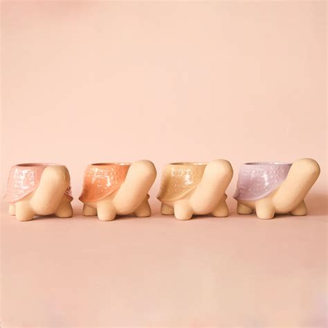 Turtle Planter Sand Jungle Club