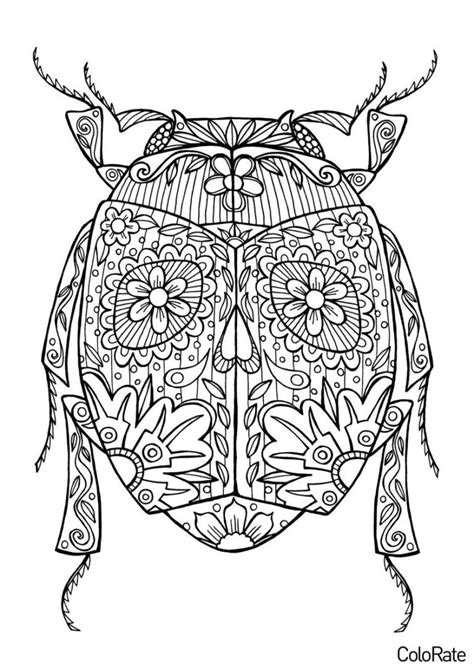 Раскраски для взрослых распечатать на А4 и скачать Colorate