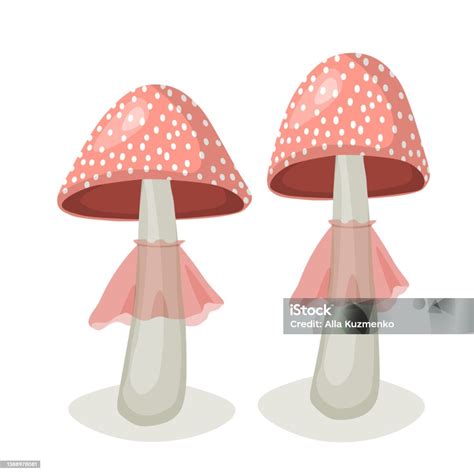 흰색 배경에 격리 된 버섯 아이콘 귀여운 요정 버섯 패키징 배너 카드 및 기타 설계를 위한 템플릿 벡터 그림입니다 식품 컨셉 개념에 대한 스톡 벡터 아트 및 기타 이미지