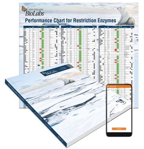 Neb Interactive Tools New England Biolabs Gmbh