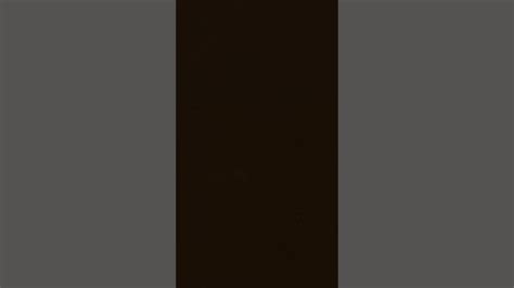 24 November 2024 Youtube