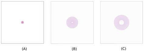 Applied Sciences Free Full Text Accelerating Electromagnetic Field Simulations Based On