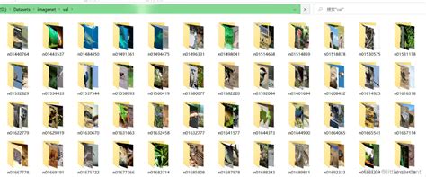 手把手教你下载ilsvrc2012（imagenet2012）分类部分数据集以及使用pytorch训练 imagenet数据集下载 csdn博客