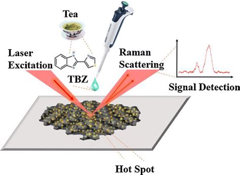 Schematic Illustration Of The Detection Of Thiabendazole Using 3d Download Scientific Diagram