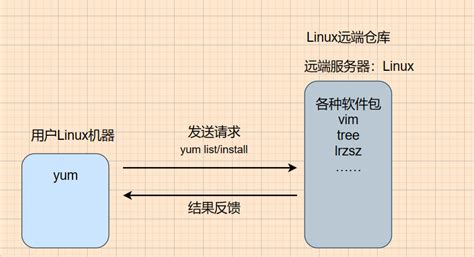 Linux基础开发工具yum生态 vim的配置与使用 linux环境配置yum CSDN博客